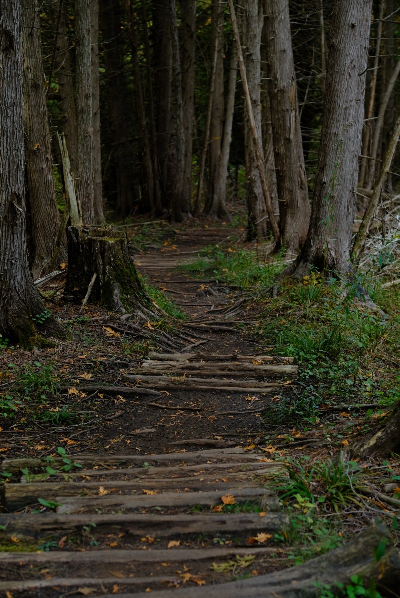 Forgiveness | Angela Mason